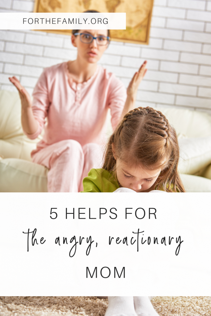 5 Helps for the Angry, Reactionary Mom - for the family
